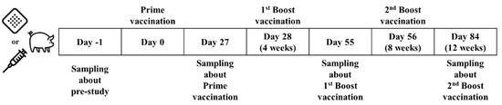 Development and Evaluation of Five-in-One Vaccine Microneedle Array ...