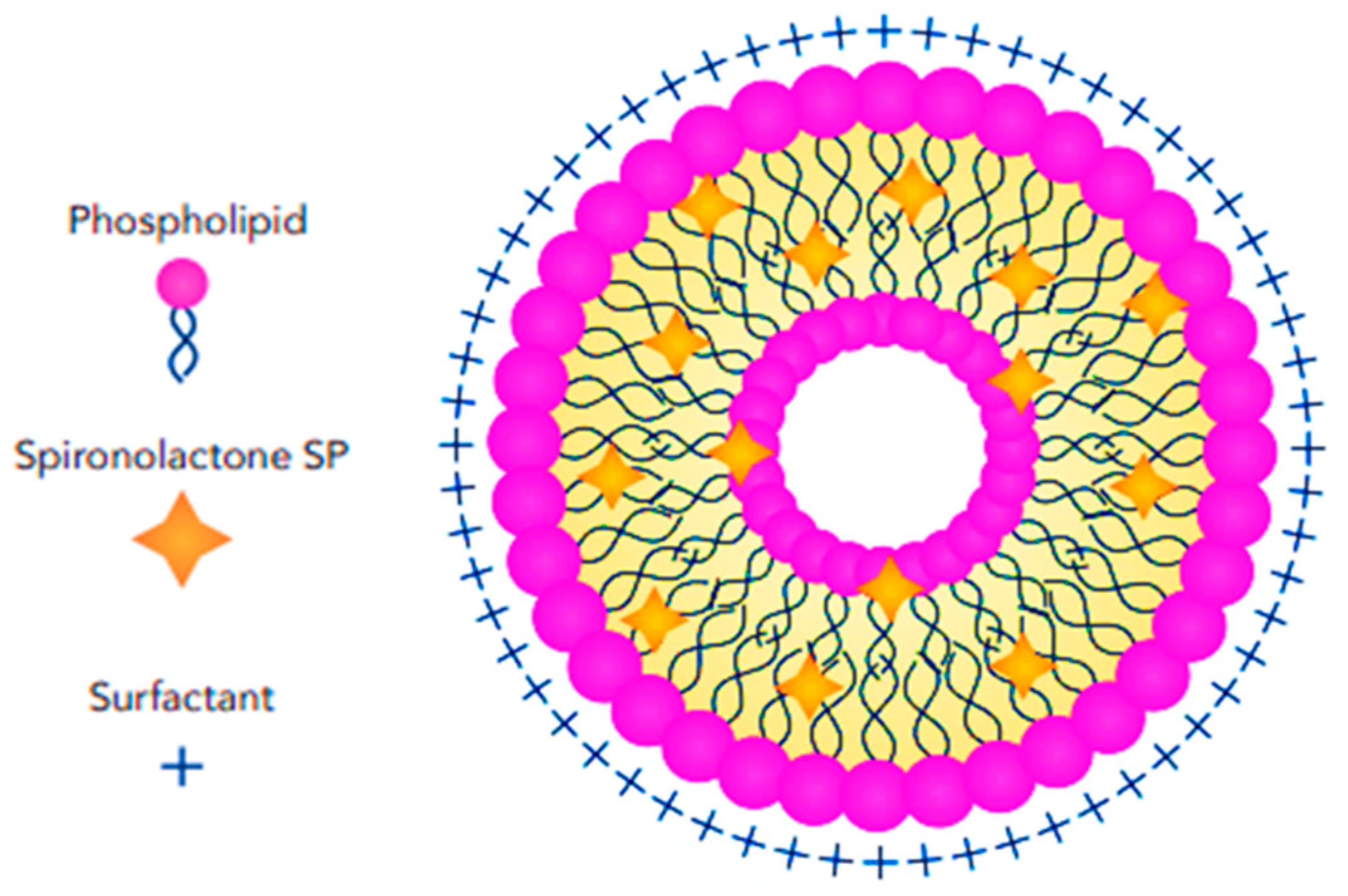 A Systematic Review of Spironolactone Nano-Formulations for Topical ...