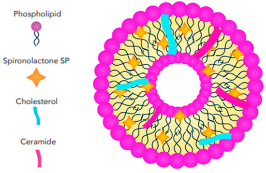 A Systematic Review of Spironolactone Nano-Formulations for Topical ...