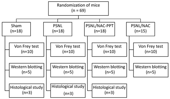 Therapeutic Efficacy of Intranasal N-Acetyl-L-Cysteine with Cell ...