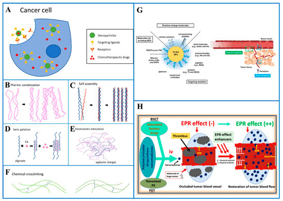 Advances in Drug Targeting, Drug Delivery, and Nanotechnology ...