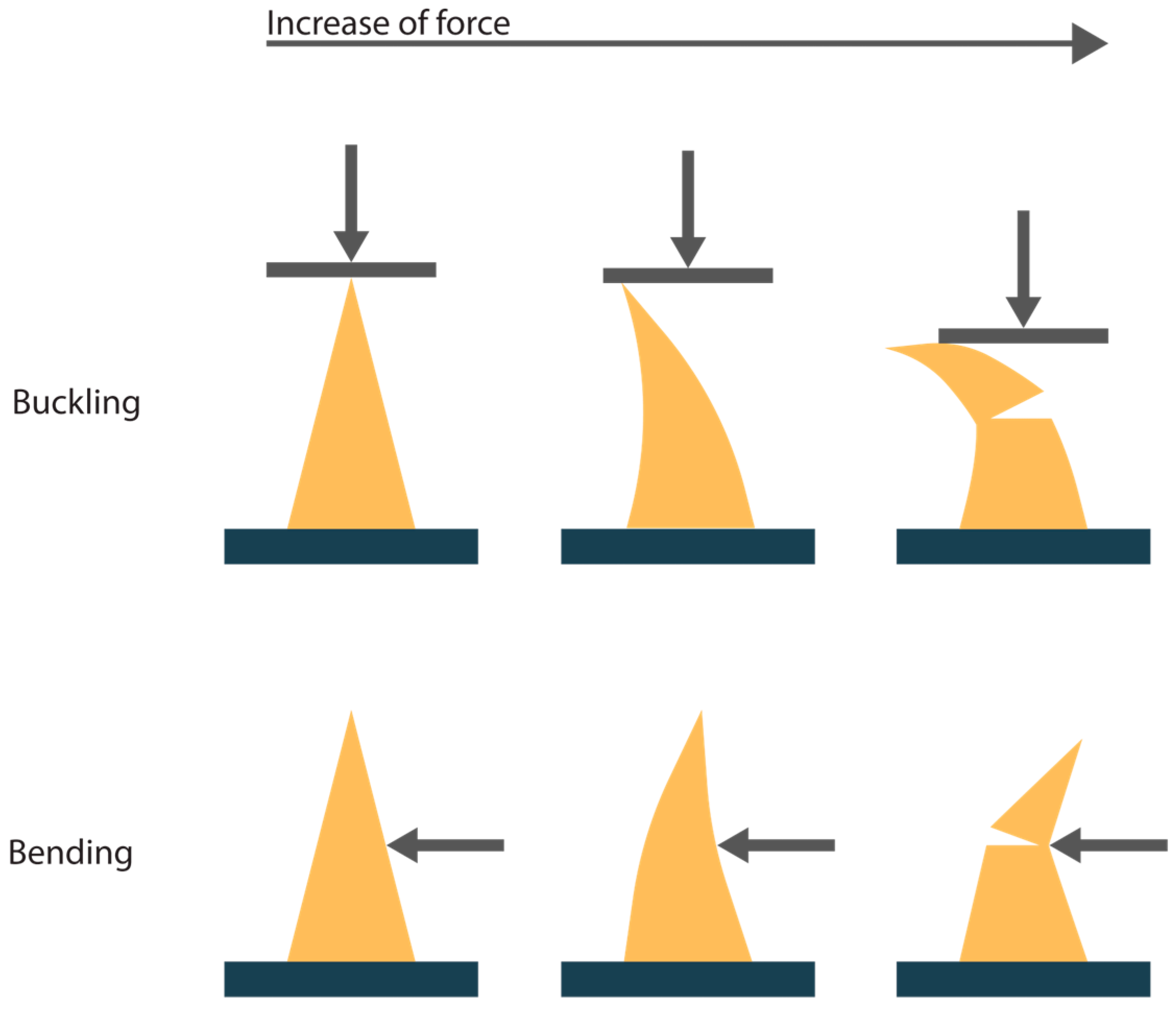 What Is the Optimal Geometry of Dissolving Microneedle Arrays? A ...