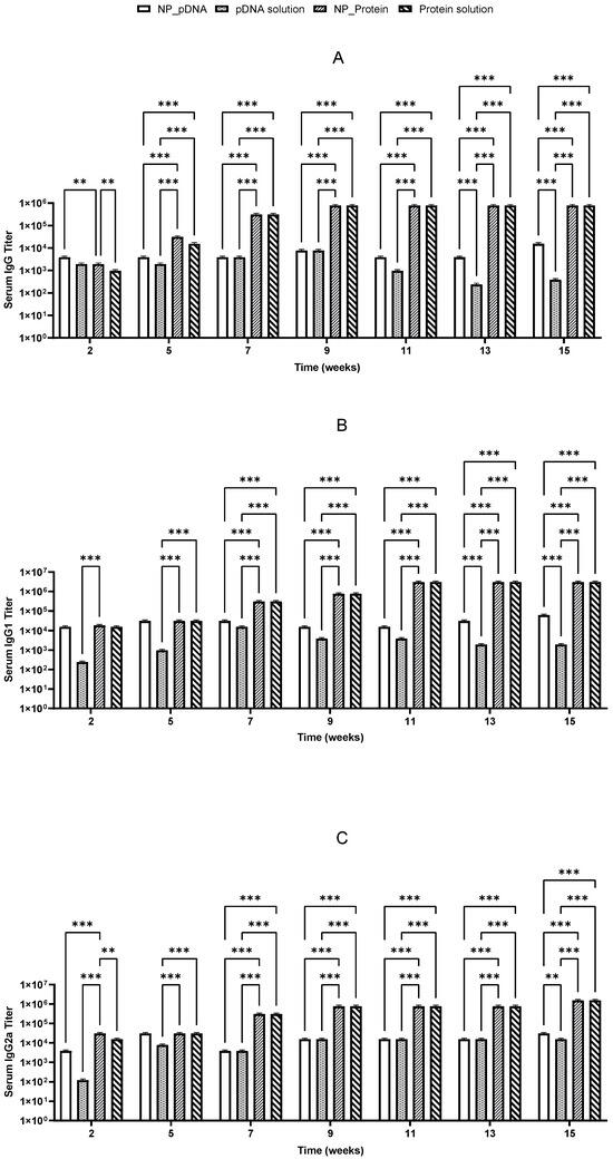 Chitosan Nanoparticles for Enhanced Immune Response and Delivery of Multi-Epitope Helicobacter ...