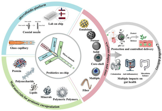 Microencapsulation of Probiotics for Enhanced Stability and Health ...
