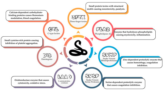Emerging Trends in Snake Venom-Loaded Nanobiosystems for Advanced ...