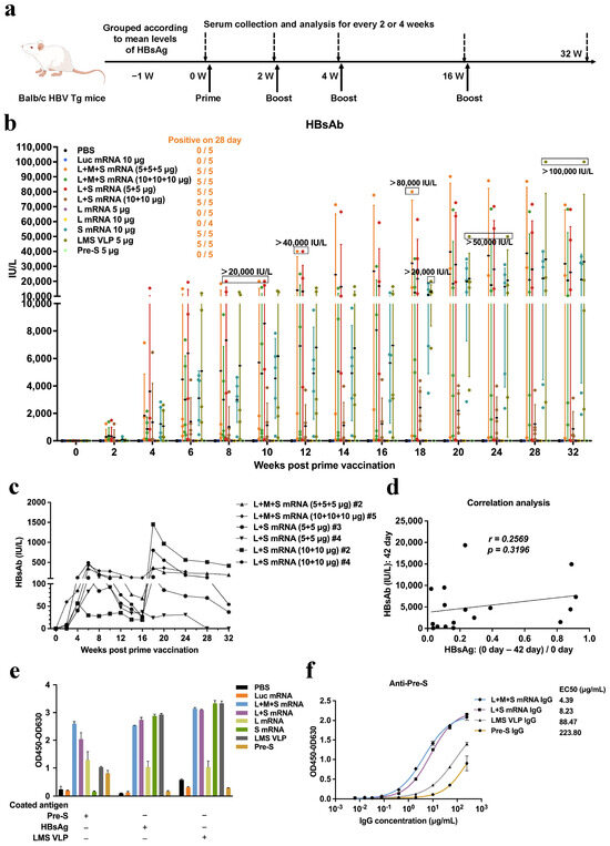 A Multivalent mRNA Therapeutic Vaccine Exhibits Breakthroughs in Immune ...