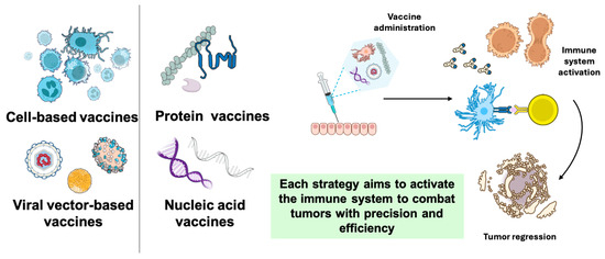 Cancer Vaccines and Beyond: The Transformative Role of Nanotechnology ...
