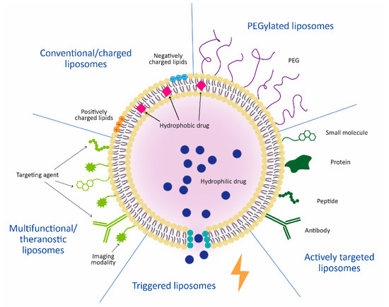 Navigating the Clinical Landscape of Liposomal Therapeutics in Cancer ...