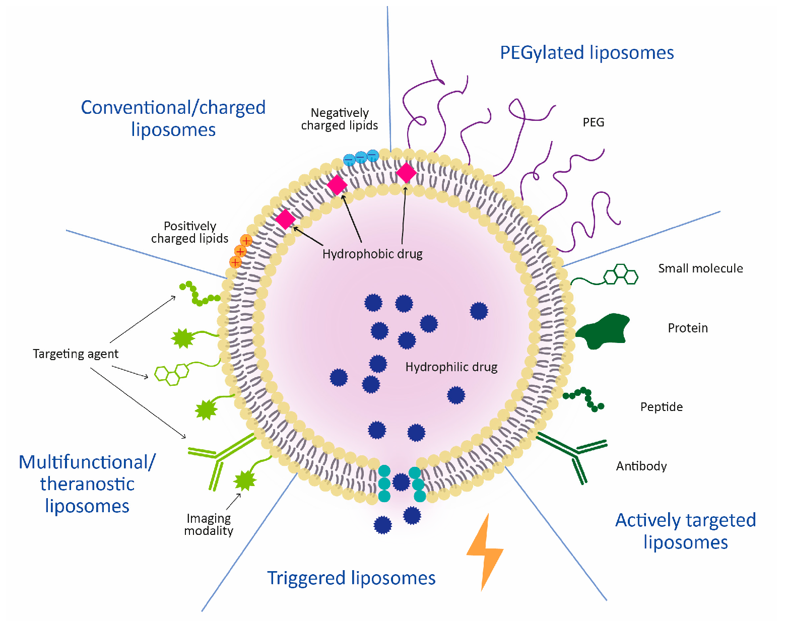 Navigating the Clinical Landscape of Liposomal Therapeutics in Cancer ...