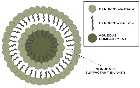 Niosomes as Vesicular Nanocarriers in Cosmetics: Characterisation ...