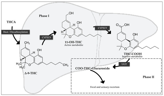 An Overview of the Potential for Pharmacokinetic Interactions Between ...