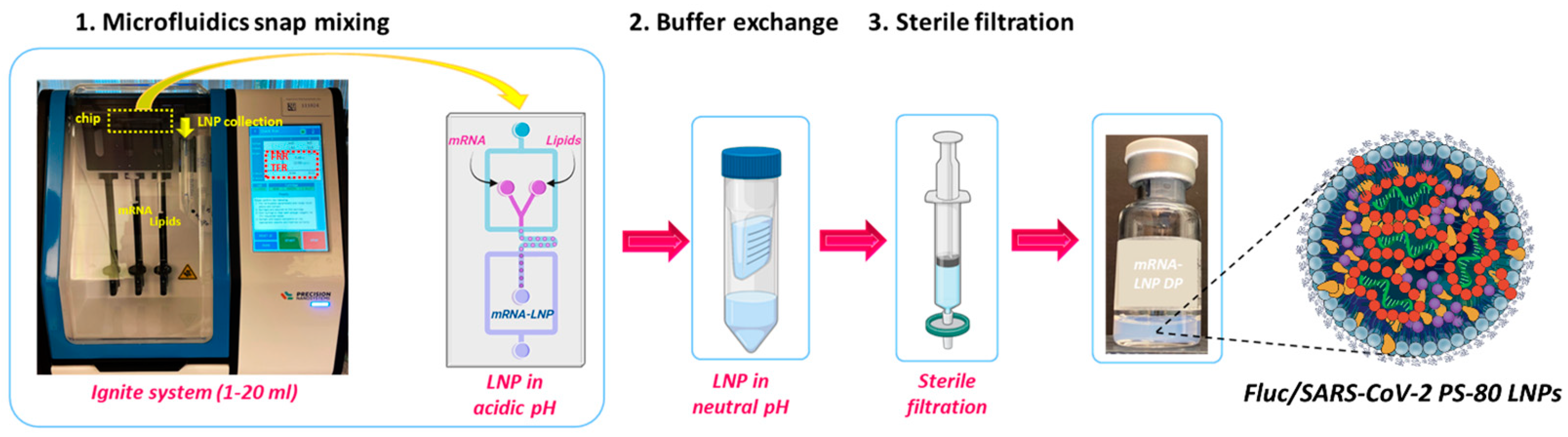 A Polysorbate-Based Lipid Nanoparticle Vaccine Formulation Induces In Vivo Immune Response ...