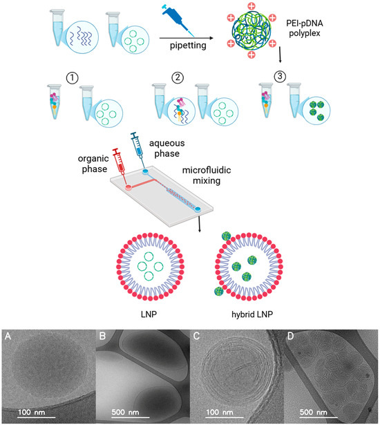 Microfluidic Optimization of PEI-Lipid Hybrid Nanoparticles for ...