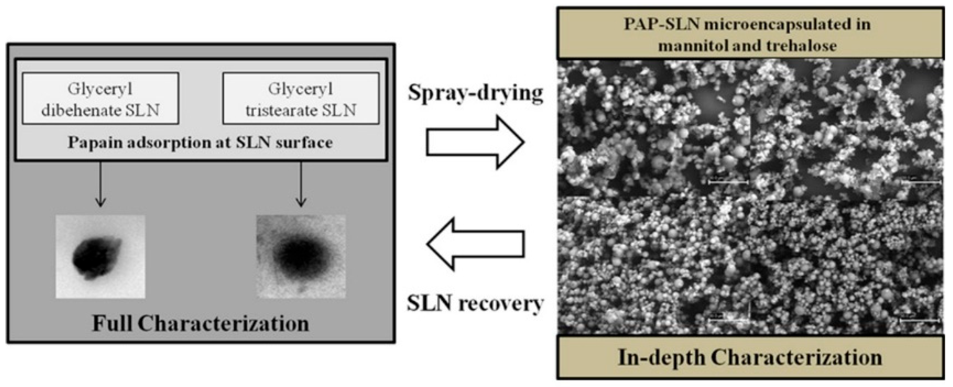 Modified-Release Pulmonary Delivery Systems for Labile Bioactives ...