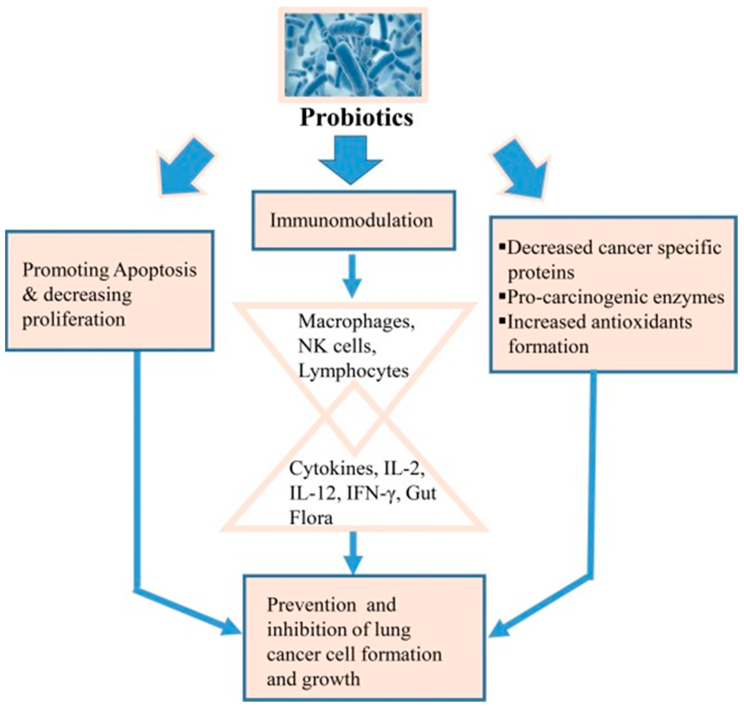 Modified-Release Pulmonary Delivery Systems for Labile Bioactives ...