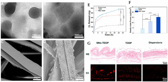 Ethosome-Based Transdermal Drug Delivery: Its Structural Components ...