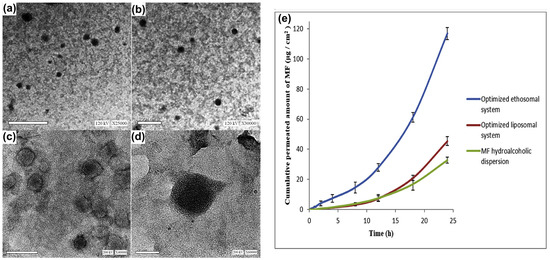 Ethosome-Based Transdermal Drug Delivery: Its Structural Components ...