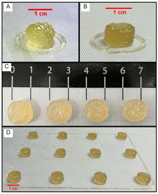 Three-Dimensional-Printed Isoniazid Chewable Gels for On-Demand Latent ...