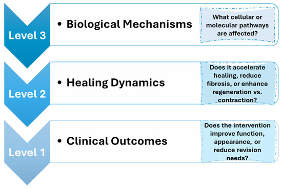 Natural Products for Improving Soft Tissue Healing: Mechanisms ...