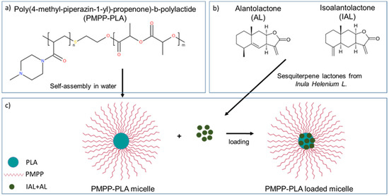 Cationic Polymer Micelles as Carriers of Bioactive Sesquiterpene Lactones from Inula Helenium L ...