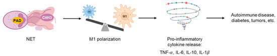 CitH3, a Druggable Biomarker for Human Diseases Associated with Acute ...