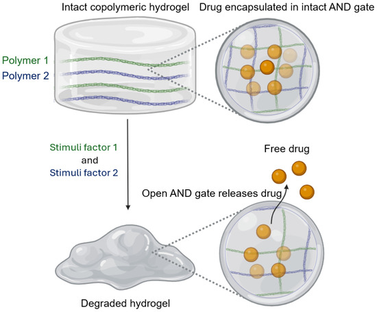 Hydrogel Conjugation: Engineering of Hydrogels for Drug Delivery