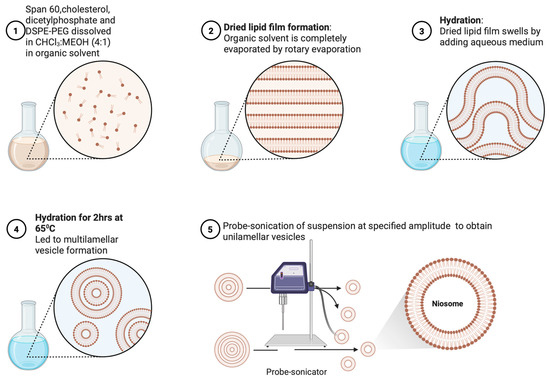 Development and Characterization of Optimized Drug-Loaded Niosomes for ...