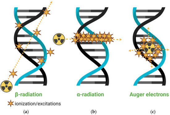 Nanoradiopharmaceuticals: Design Principles, Radiolabeling Strategies ...
