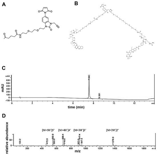 A Dual-Payload Bispecific ADC Improved Potency and Efficacy over Single ...