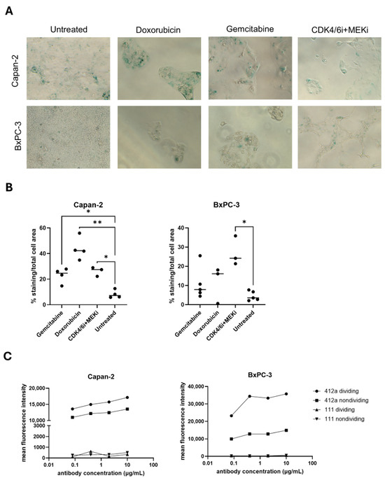 A Dual-Payload Bispecific ADC Improved Potency and Efficacy over Single ...