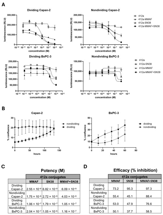 A Dual-Payload Bispecific ADC Improved Potency and Efficacy over Single ...