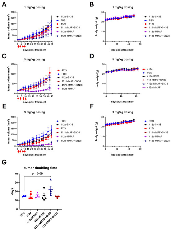 A Dual-Payload Bispecific ADC Improved Potency and Efficacy over Single ...