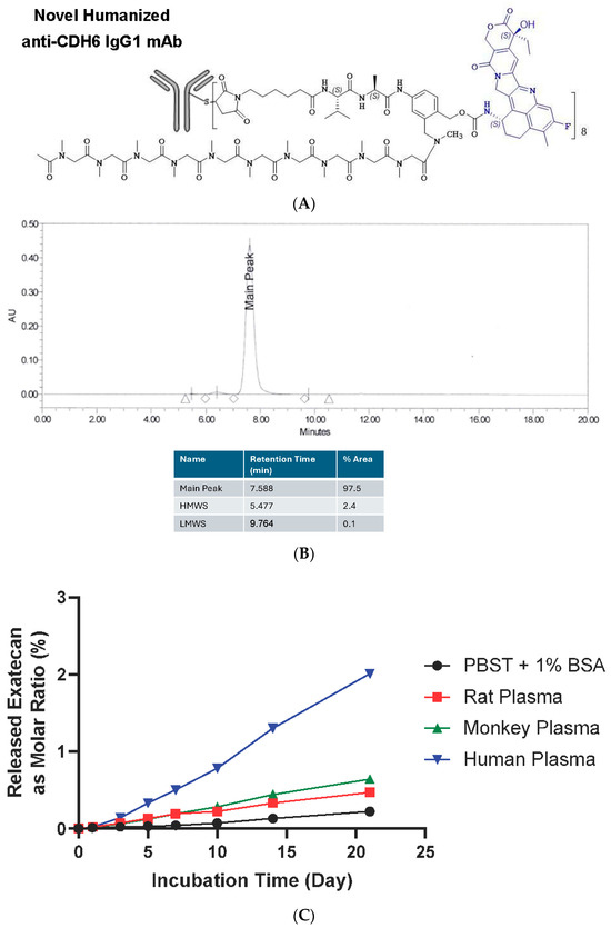 CUSP06, a Novel CDH6-Targeted Antibody-Drug Conjugate, Demonstrates ...