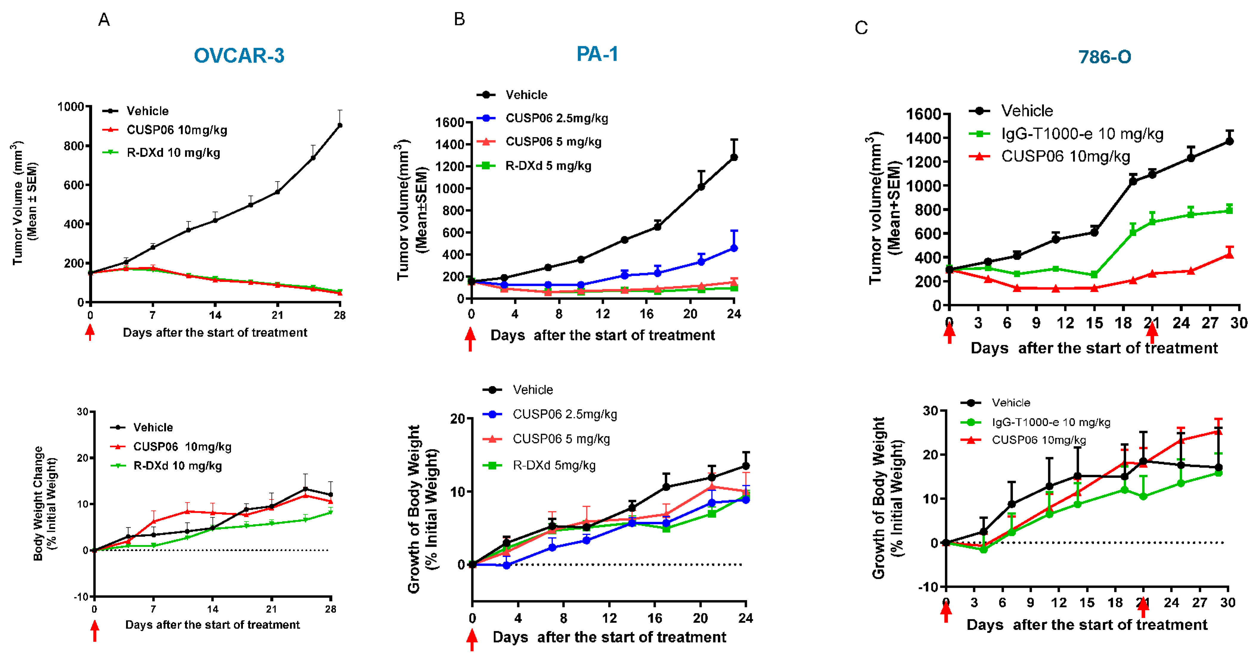 CUSP06, a Novel CDH6-Targeted Antibody-Drug Conjugate, Demonstrates ...