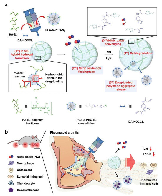 Advances in Intra-Articular Injection Hydrogel Drug Delivery Systems in ...