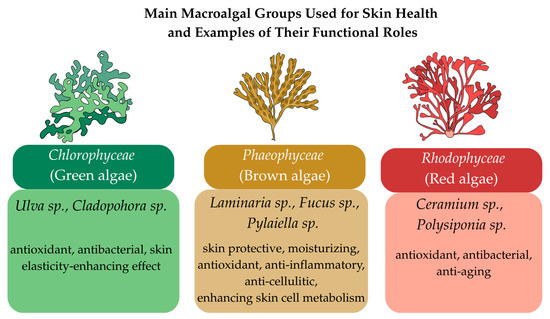 Marine Macroalgae in Topical Formulations: Bioactive Compounds ...