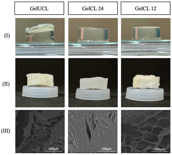 Next-Generation Natural Hydrogels in Oral Tissue Engineering