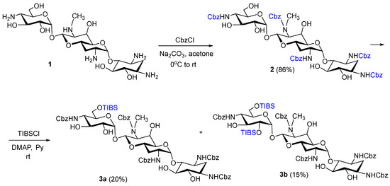 Design, Synthesis, and Biological Evaluation of 6″-Modified Apramycin ...