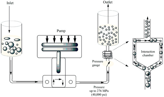 Optimization of Microfluidizer-Produced PLGA Nano-Micelles for Enhanced ...