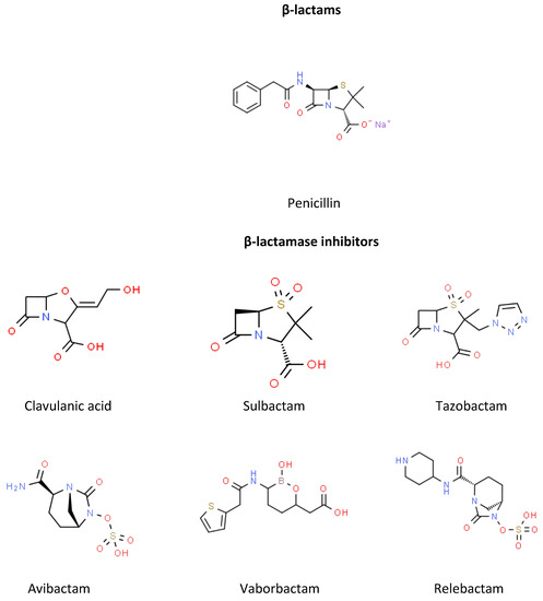 Allergic Reactions and Cross-Reactivity Potential with Beta-Lactamase ...