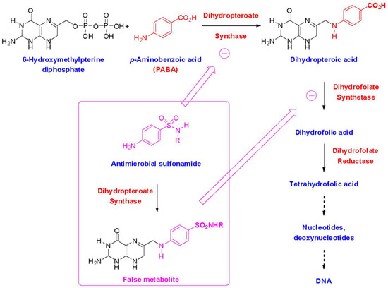 Sulfonamide Allergies
