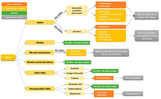 Antibiotics and Lipid-Modifying Agents: Potential Drug–Drug ...