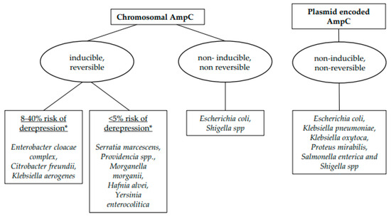 Antibiotic Treatment of Infections Caused by AmpC-Producing ...