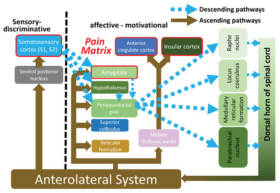 Philosophies | Special Issue : Frontiers of Embodied Artificial ...