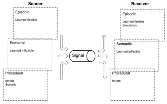 The Cognitive Philosophy of Communication