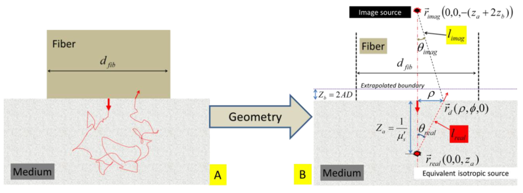 Single-Fiber Reflectance Spectroscopy of Isotropic-Scattering Medium ...