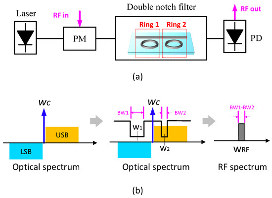 Integrated Microwave Photonics for Wideband Signal Processing