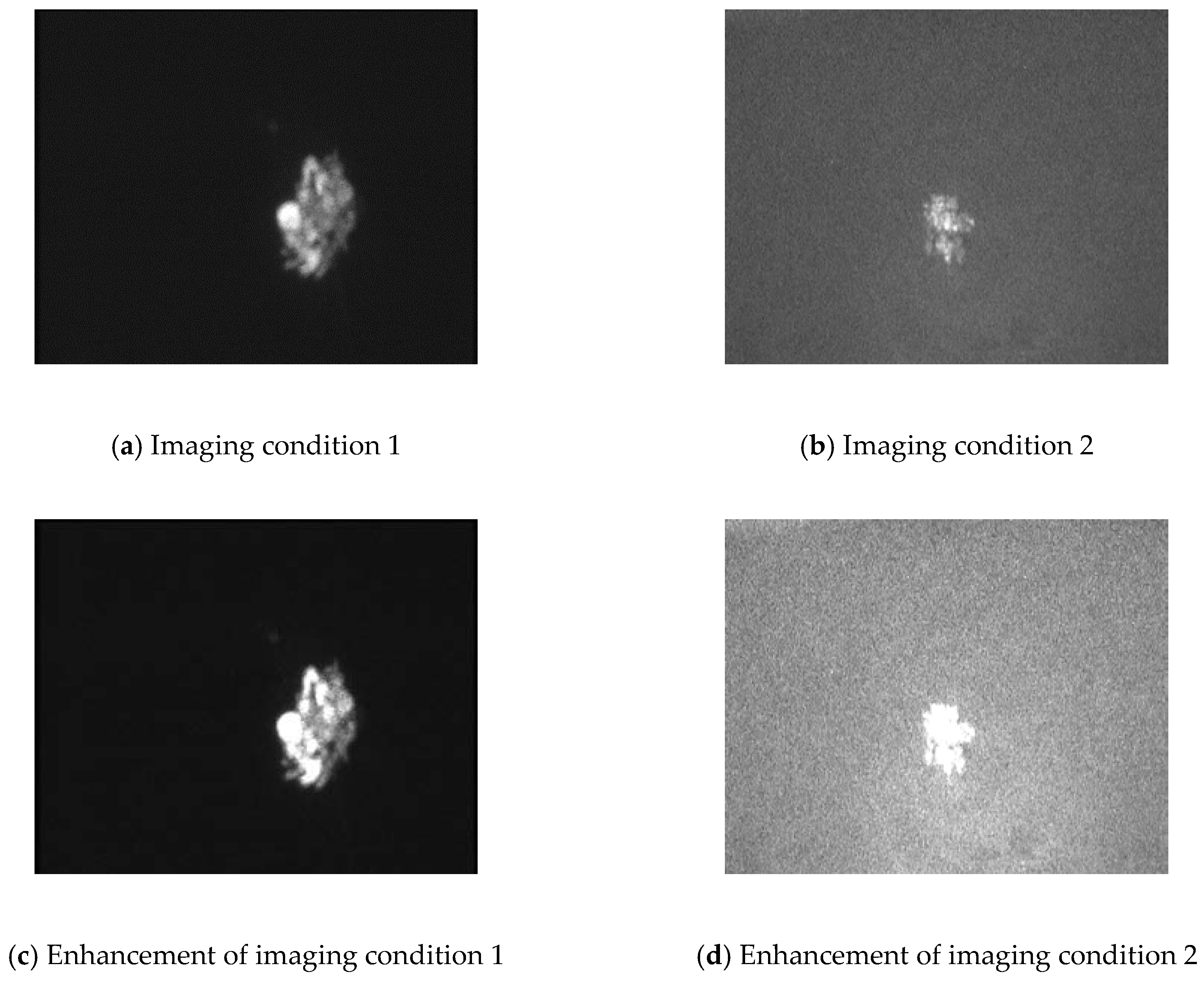 Image Processing for Laser Imaging Using Adaptive Homomorphic Filtering ...