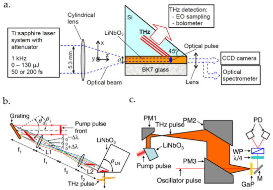 High Field Single- to Few-Cycle THz Generation with Lithium Niobate