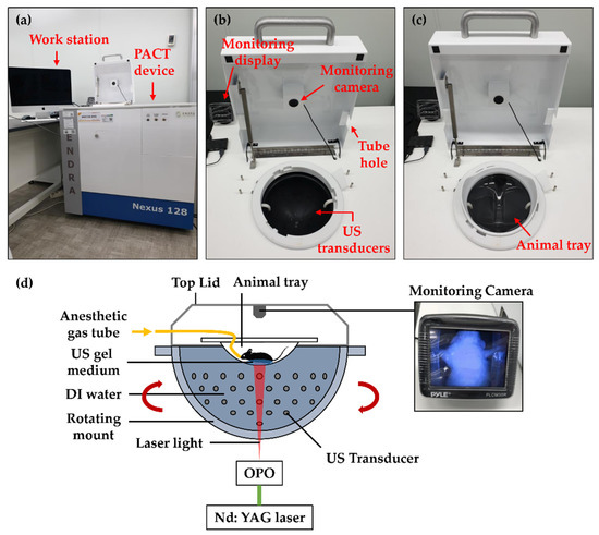 Photonics | Free Full-Text | In Vivo Rodent Cervicothoracic Vasculature ...